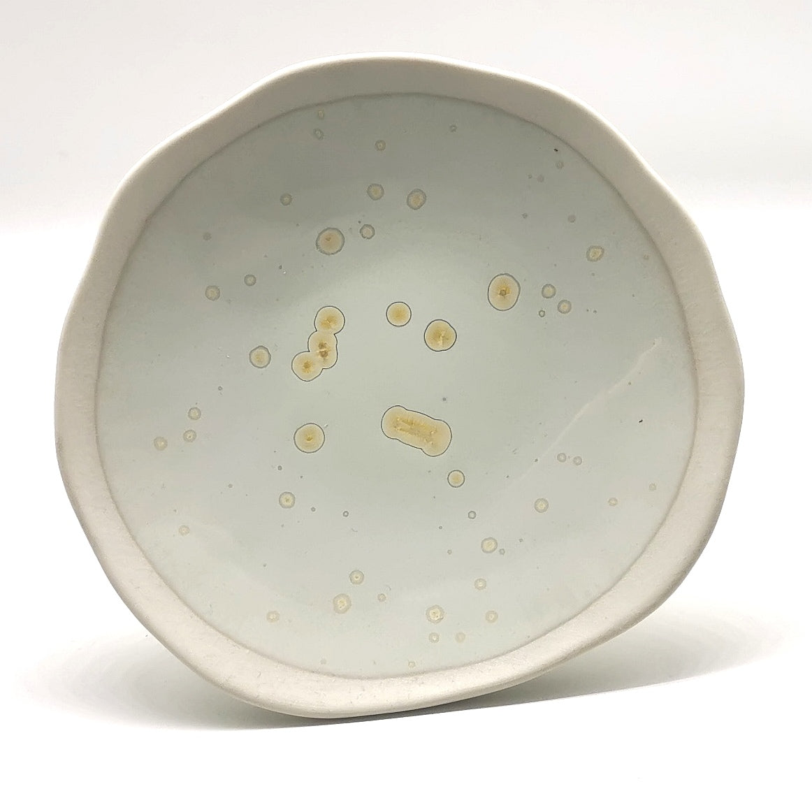 JARS Sous-tasse la Plume Nacre